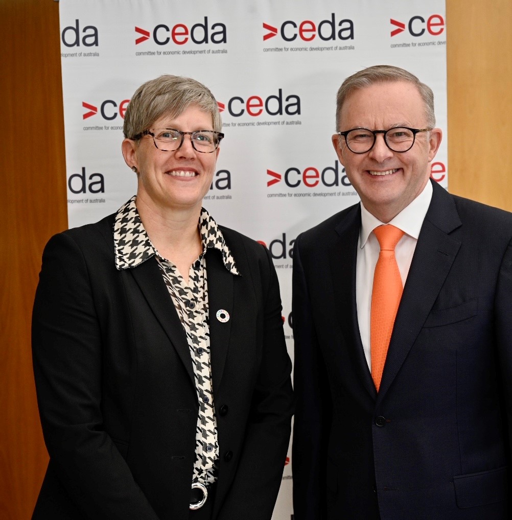 CEDA - News and resources